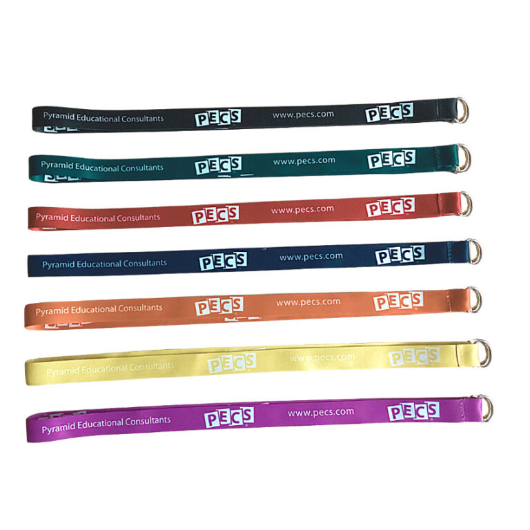 Products Archive - Pyramid Educational Consultants UK Pyramid ...