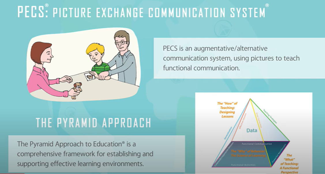 Who Are We? Find Out in Our New Video! - PECS UK