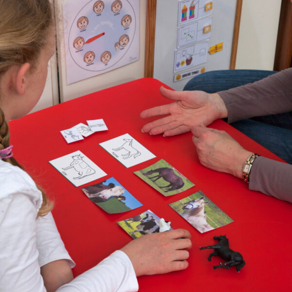 What is it Really Like to Communicate Using PECS? - Blog