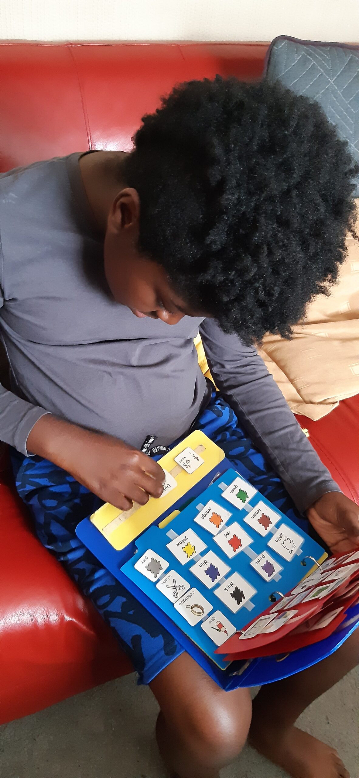 PECS Support at Home - BLOG